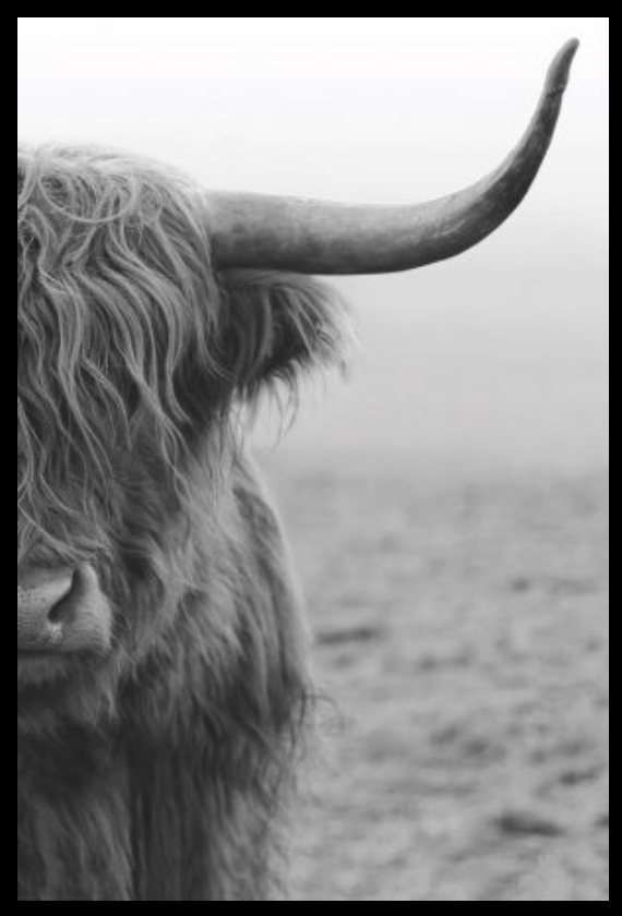 Best sellers – Perth Picture Company