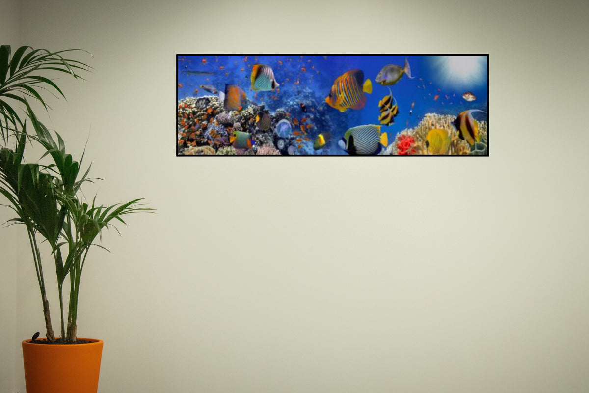 Fishes under the sea 98cm x 37cm – Perth Picture Company